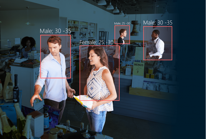 Customer Insights – Customer Demographics - Glimpse Analytics